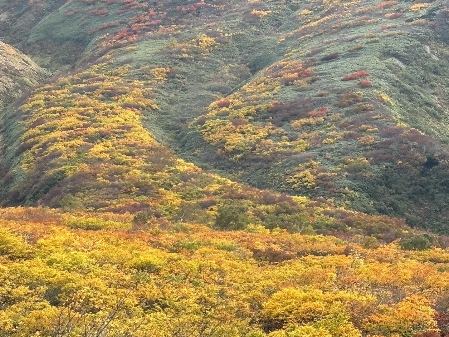 東北山旅 月山と蔵王温泉 / kohiさんの月山の活動データ | YAMAP / ヤマップ