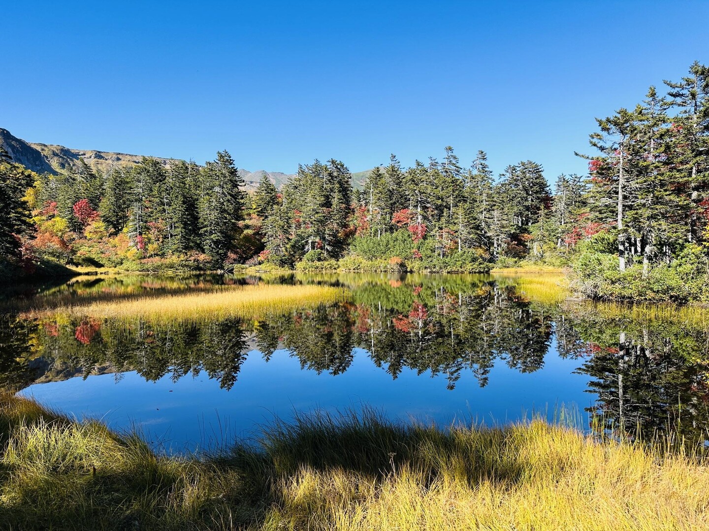 日本一早い紅葉 緑岳(松浦岳)、白雲岳避難小屋、高原沼温泉緑沼 / yuuさんの大雪山系・旭岳・トムラウシの活動データ | YAMAP / ヤマップ