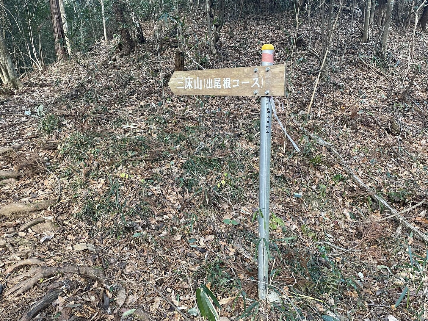 eriさんの投稿したフィールドメモ | YAMAP / ヤマップ