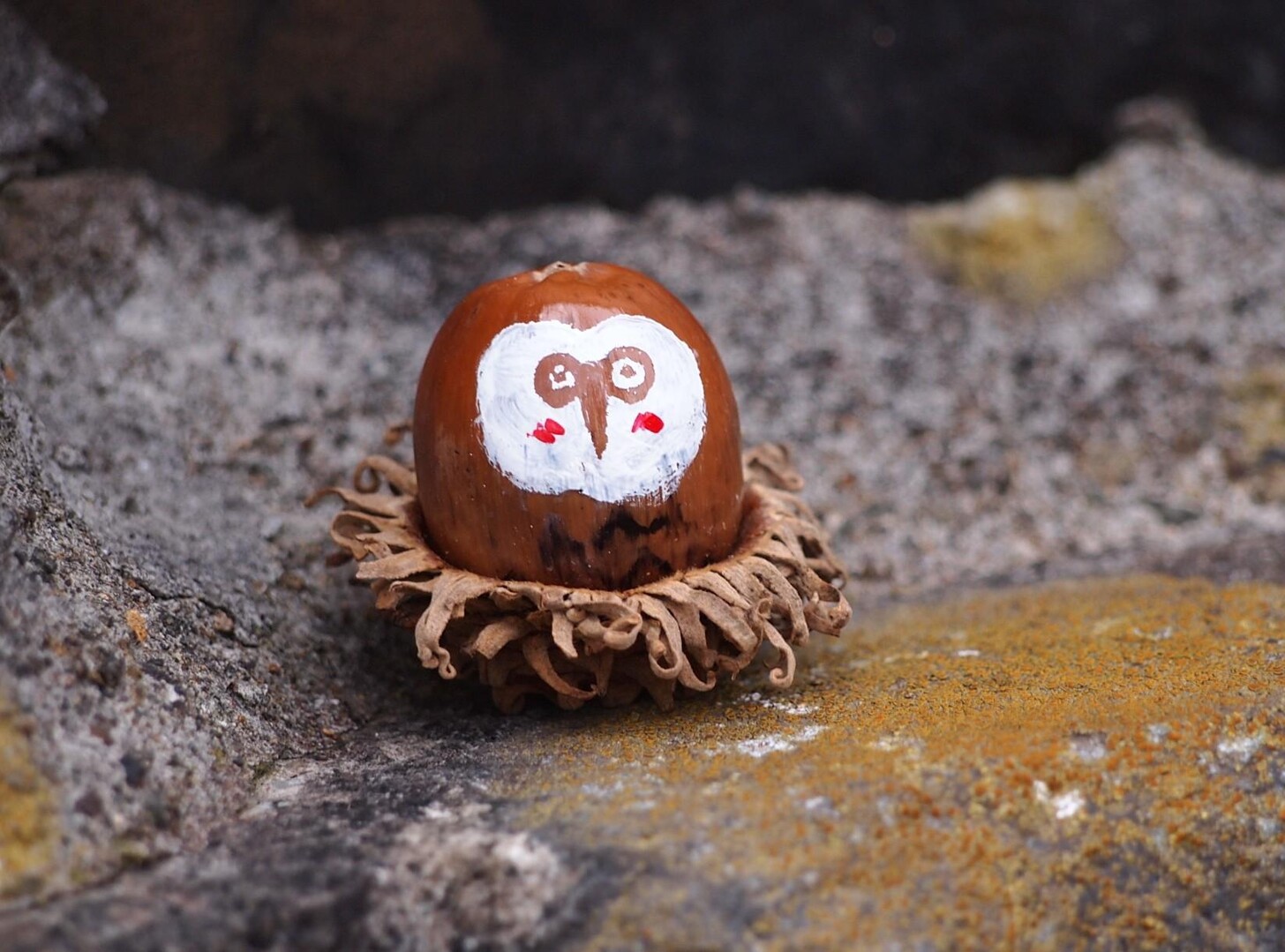 国見山・金峰山・珊瑚岳-2023-12-30 / aiさんの珊瑚岳・国見山の活動日記 | YAMAP / ヤマップ