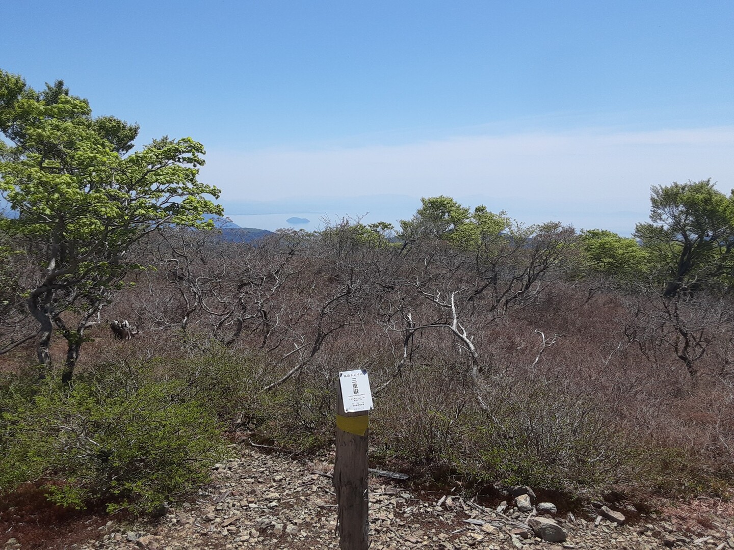 駒ヶ岳・与助谷山・桜谷山・百里ヶ岳・三国峠（三国岳）・三国岳 / Nuruma_Uさんの高島トレイル その2の活動データ | YAMAP / ヤマップ