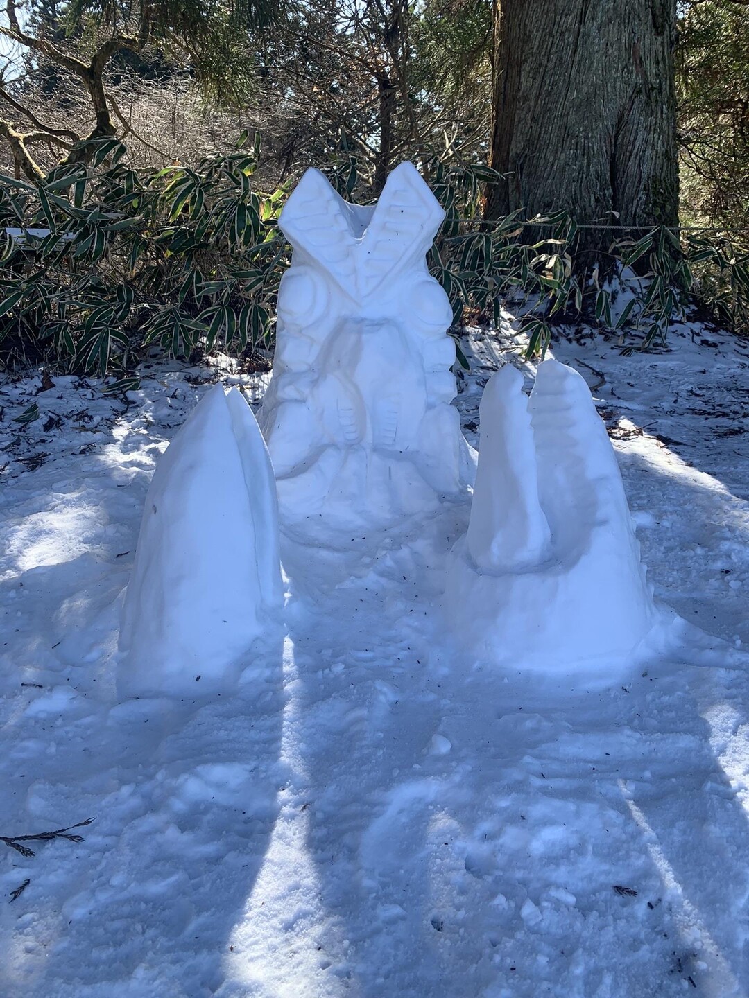 金剛山 今年初㊗️の登山は王道中の王道で⤴️階段3000段MAX / ヒデ1967さんの金剛山・二上山・大和葛城山の活動データ | YAMAP / ヤマップ