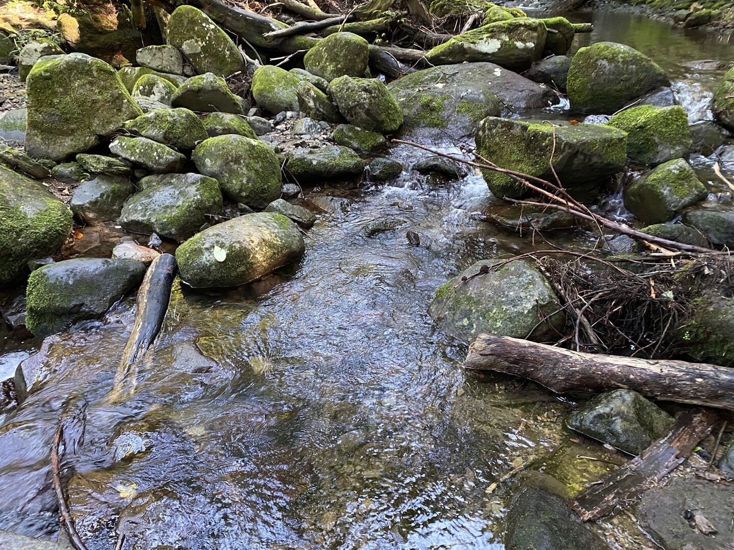 Gentil15さんの投稿したフィールドメモ | YAMAP / ヤマップ