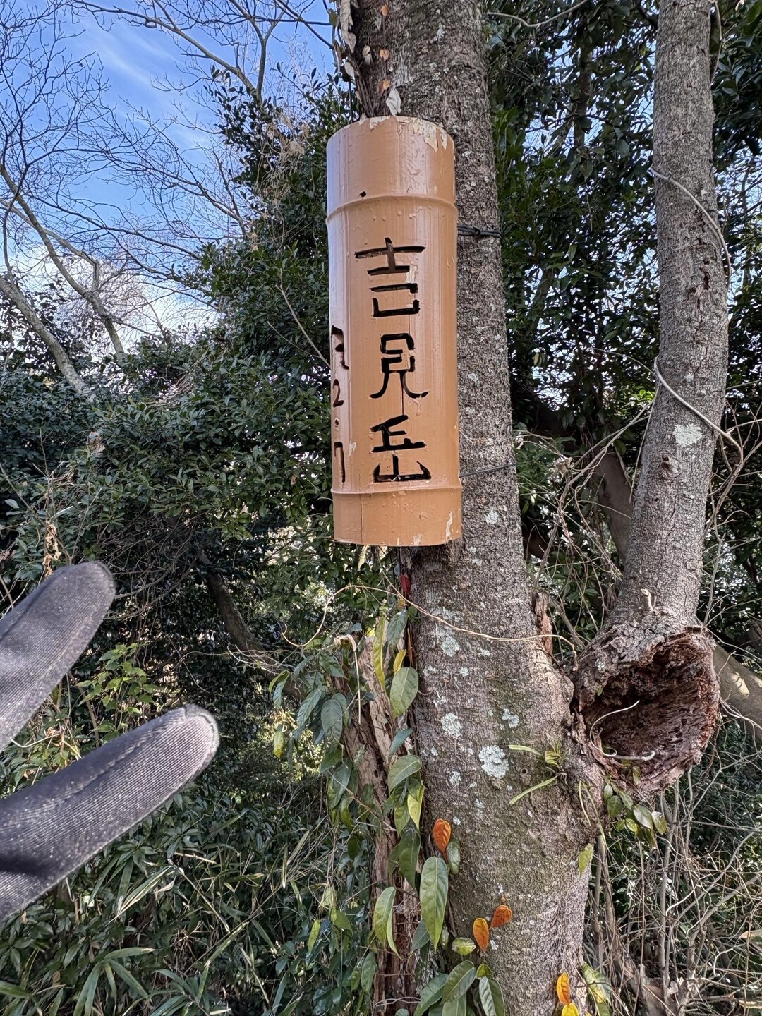 吉見岳 / Re:けんさんの高良山・発心山・鷹取山の活動データ | YAMAP / ヤマップ