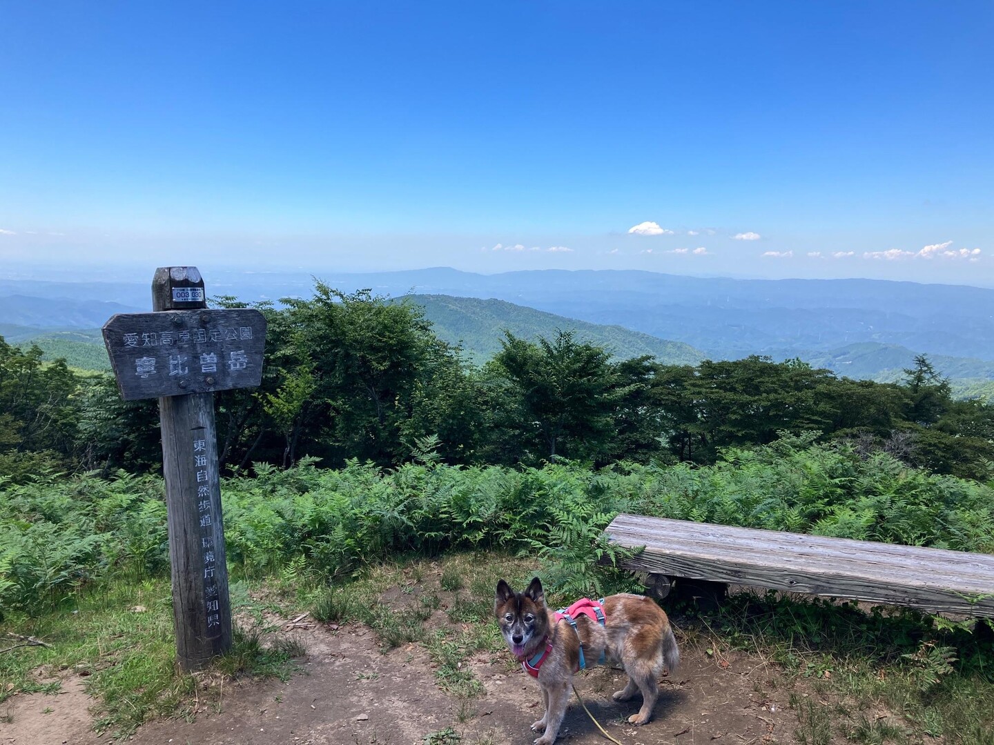寧比曽岳 with AKI / kieさんの寧比曽岳・筈ヶ岳・出来山の活動データ | YAMAP / ヤマップ