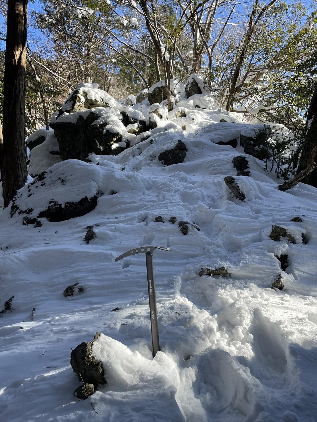 竜ヶ岳 / Ben Abeさんの竜ヶ岳の活動データ | YAMAP / ヤマップ