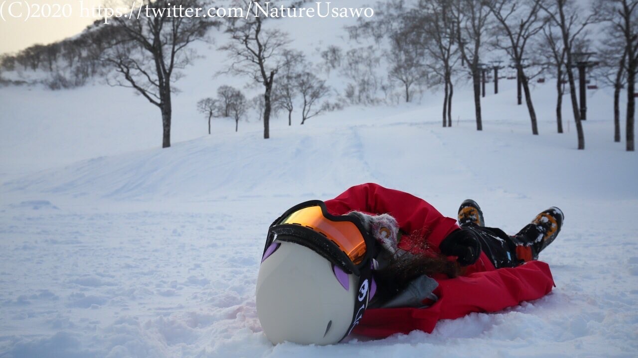 吹雪の谷川岳・撤退記 / usawoさんの谷川岳・七ツ小屋山・大源太山の活動データ | YAMAP / ヤマップ
