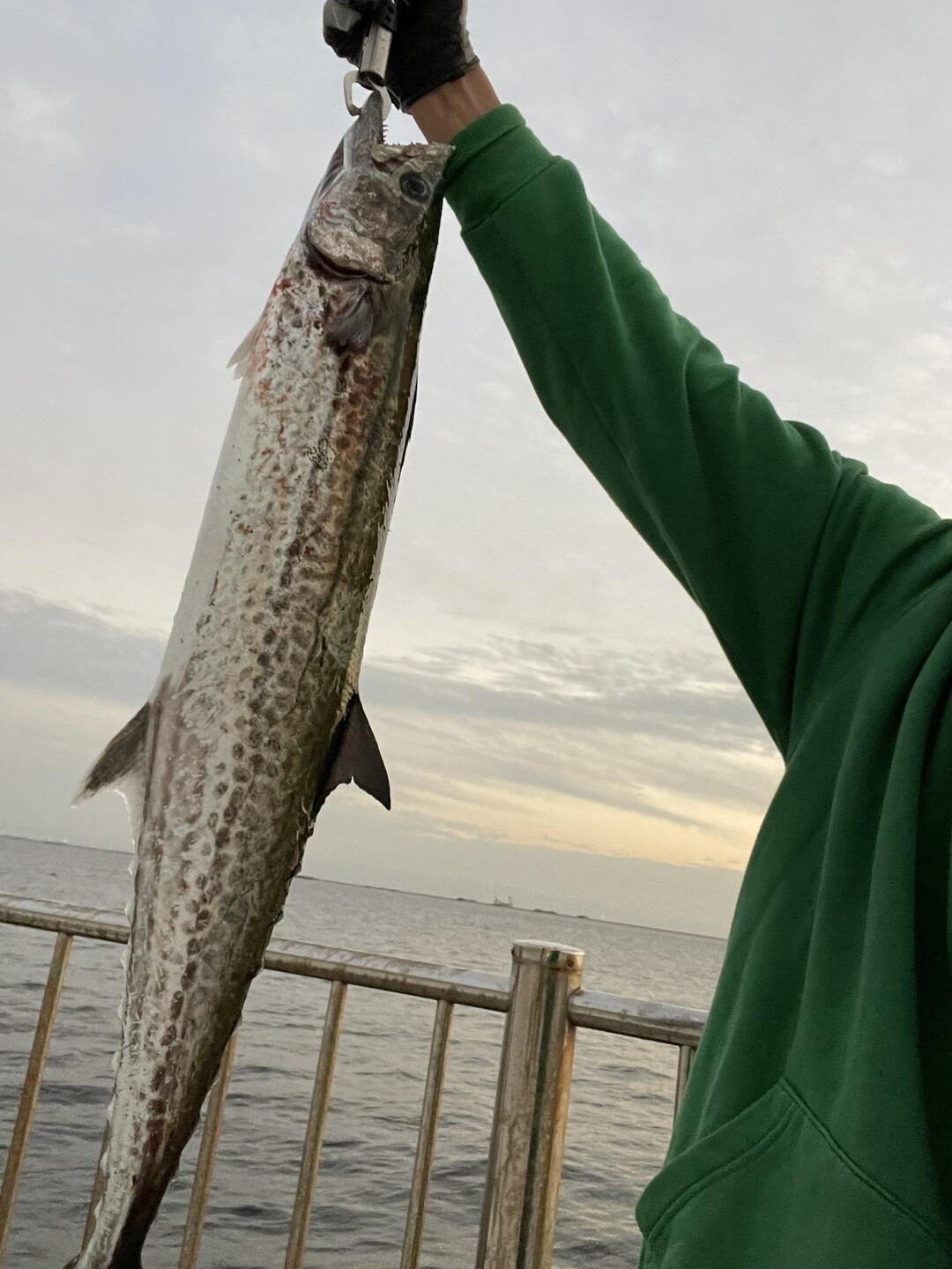 海行Part2 サワラ♡ / け̤̮ぇ̤̮さんのモーメント | YAMAP / ヤマップ