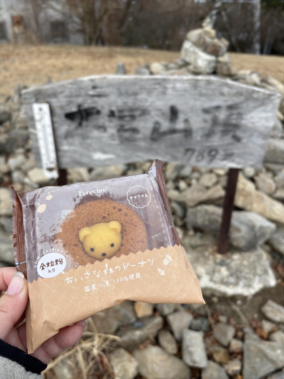 本宮山 / sachiさんの本宮山・大日山・風頭山の活動データ | YAMAP / ヤマップ