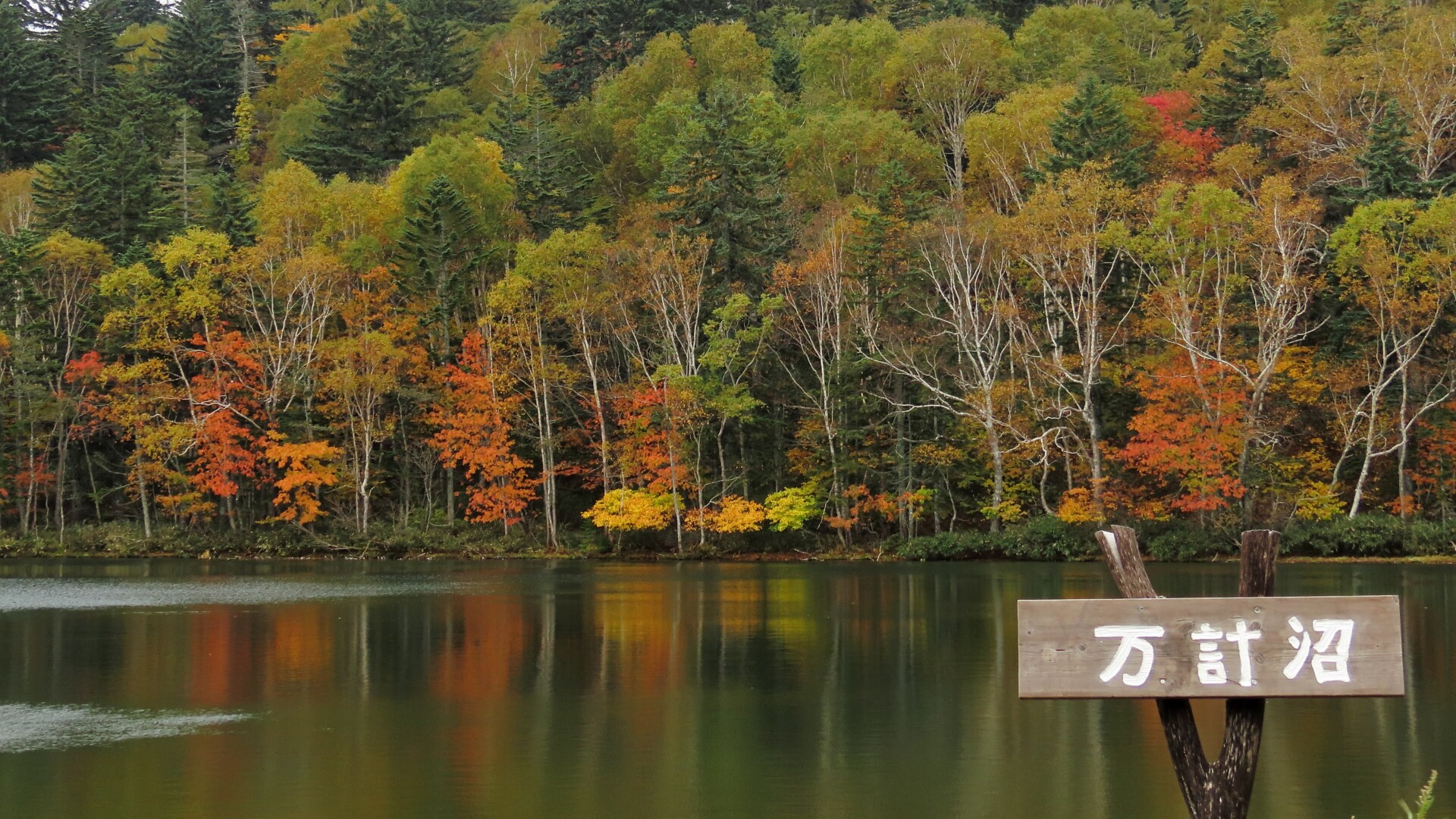 紅葉の空沼岳 （10/4,10 連"登"） / chromeさんの札幌岳・空沼岳の活動データ | YAMAP / ヤマップ