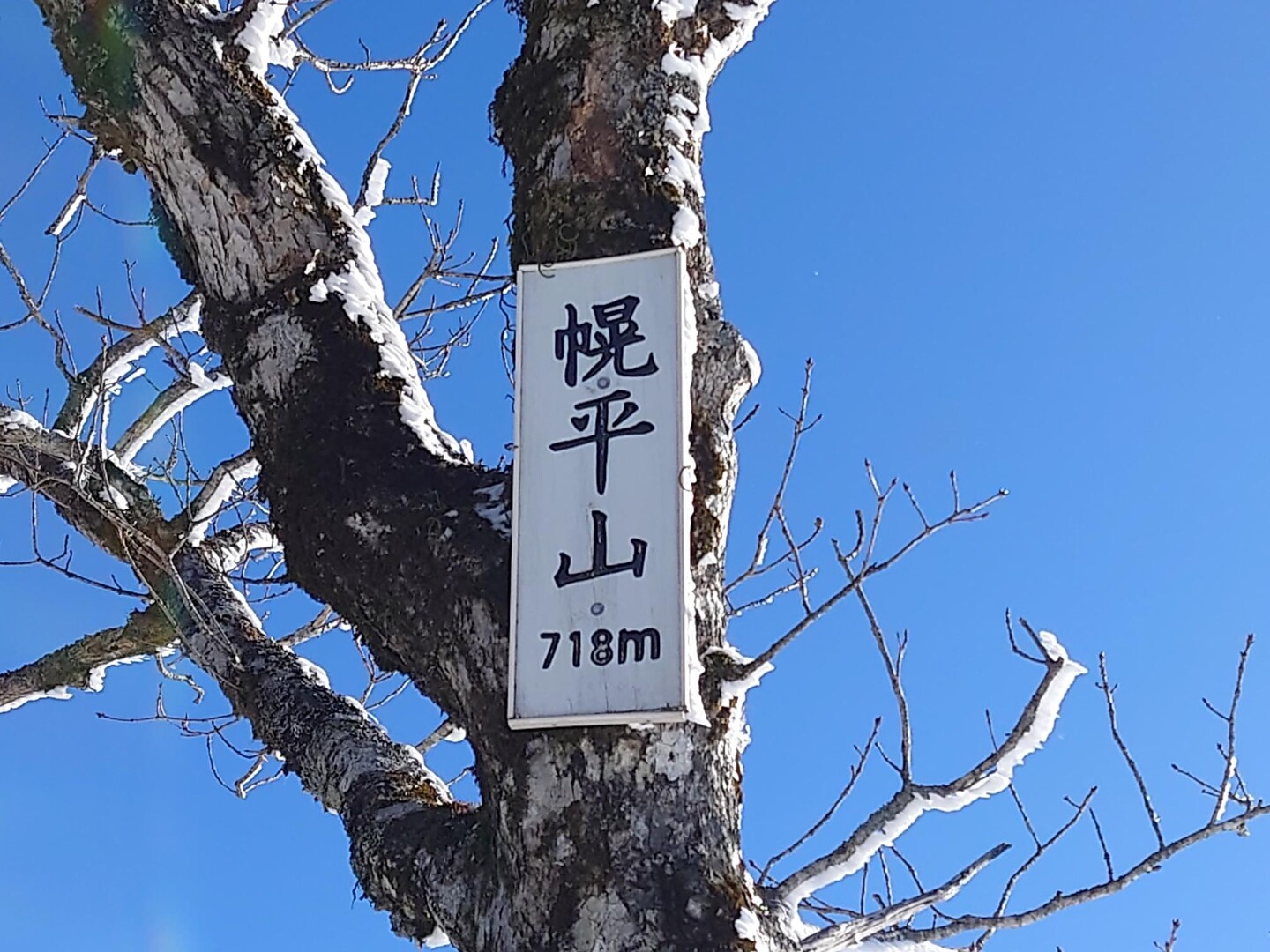少し日和って 幌平山 / Syoさんの札幌市の活動データ | YAMAP / ヤマップ