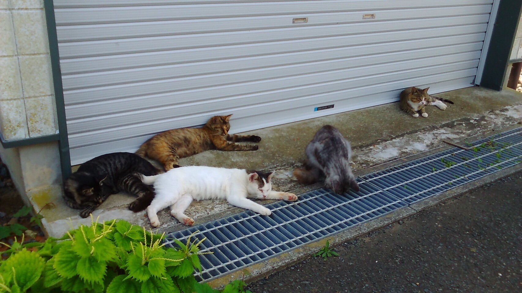 石巻市内の観光地は漫画読み放題の「石ノ森... / yhmgcさんのモーメント | YAMAP / ヤマップ