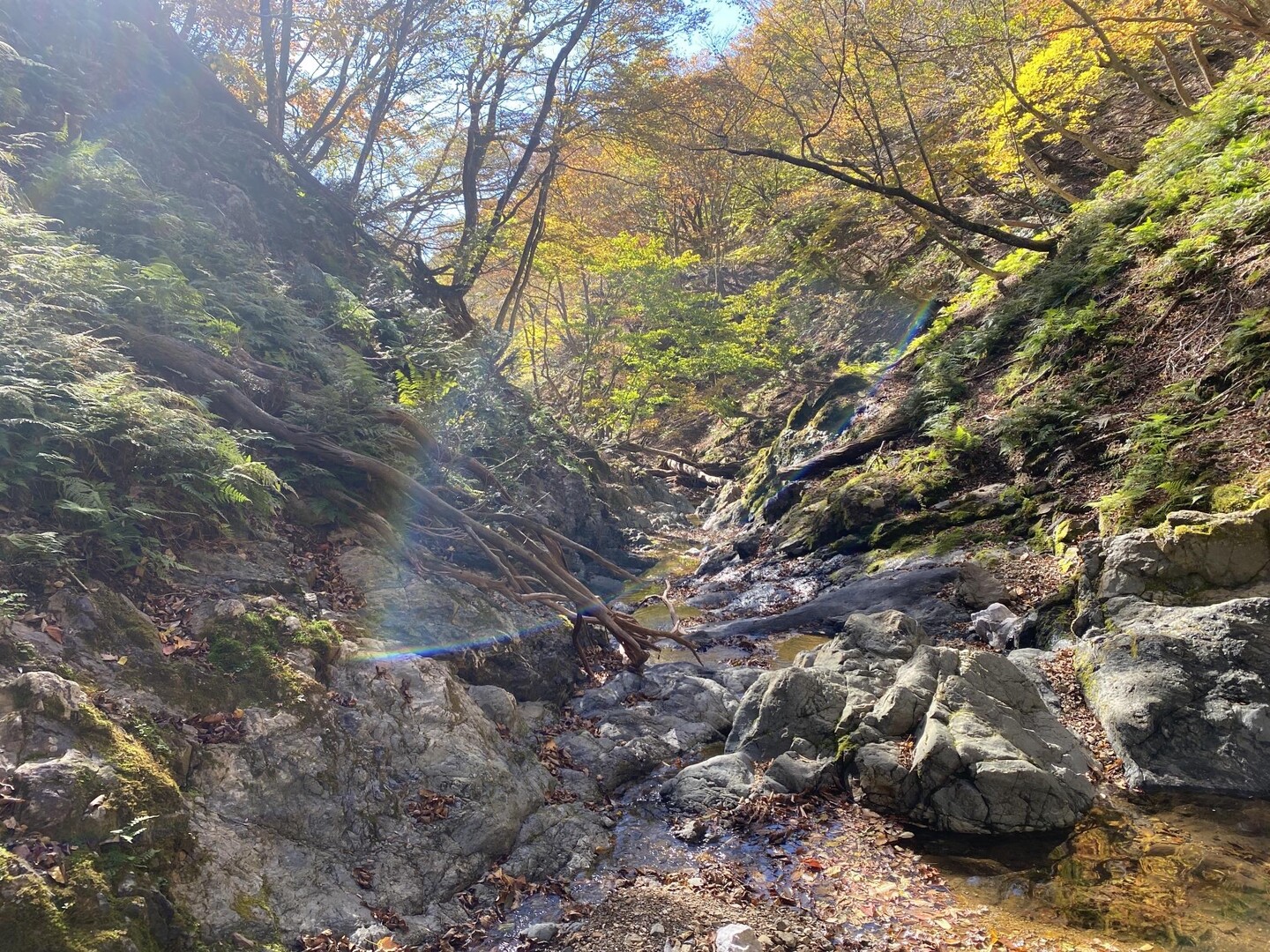 k2ma34さんの投稿したフィールドメモ | YAMAP / ヤマップ