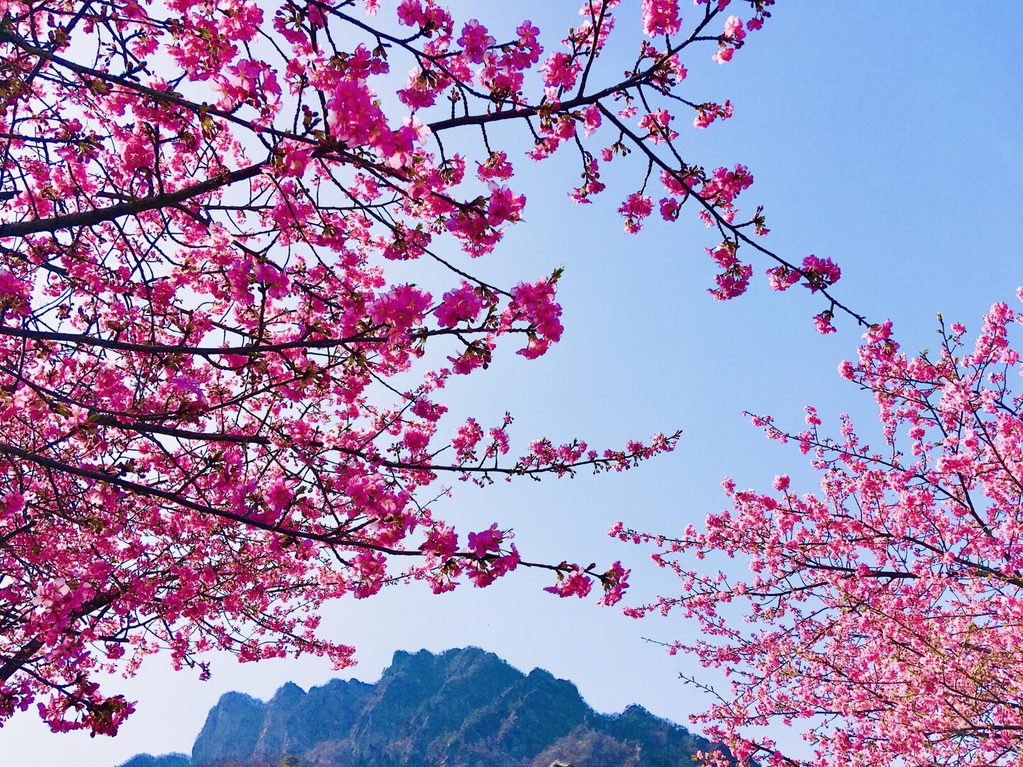 2023.03.11(土) 12:18 / ごんじいさんのモーメント | YAMAP / ヤマップ