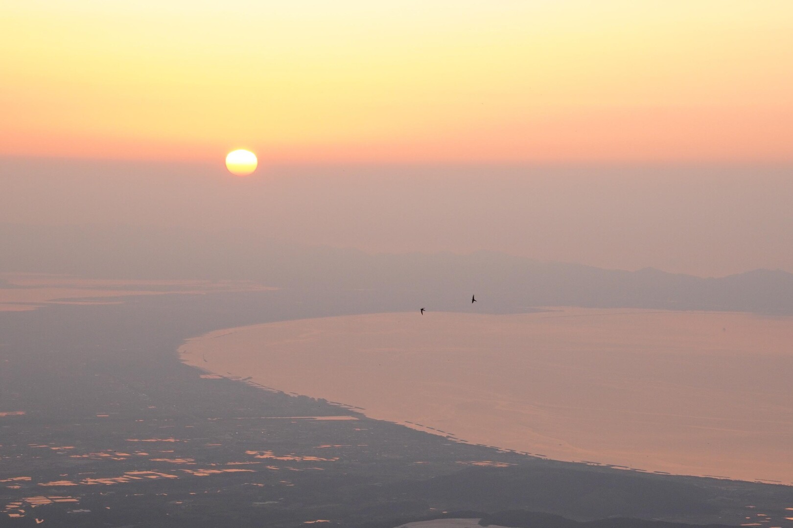 MY HOME ユートピア小屋 / ほんじ～さんの大山・甲ヶ山・野田ヶ山の活動データ | YAMAP / ヤマップ