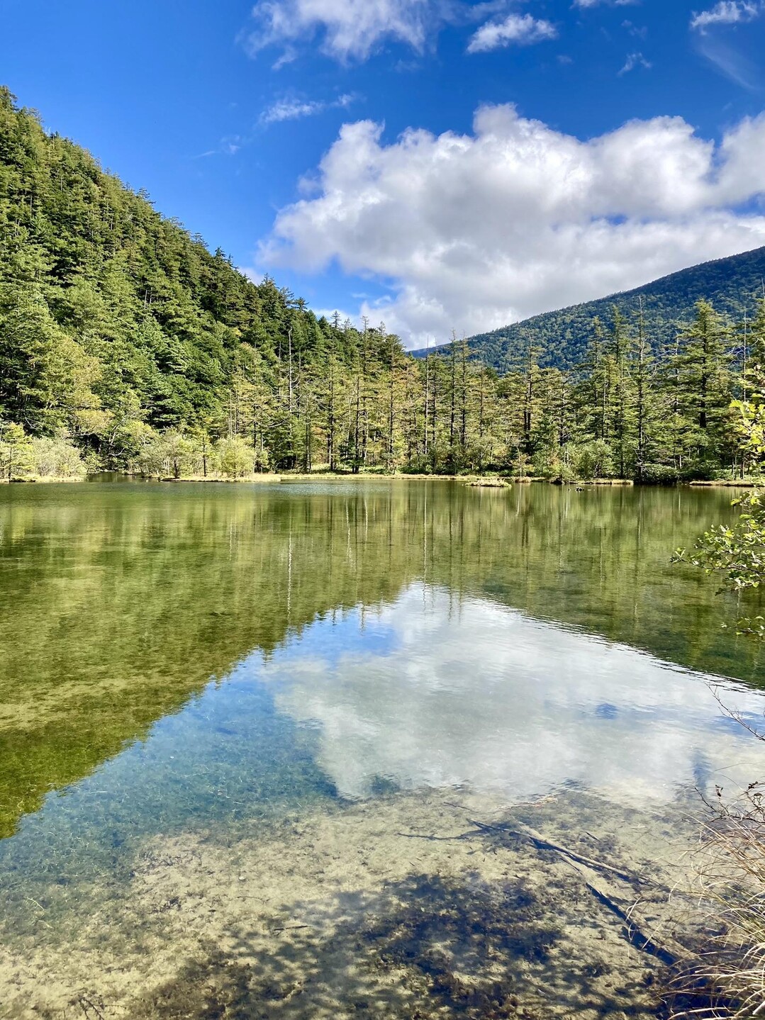 全く前に進みません🤣大正池-徳沢まで / tae0218さんの槍ヶ岳・穂高岳・上高地の活動データ | YAMAP / ヤマップ