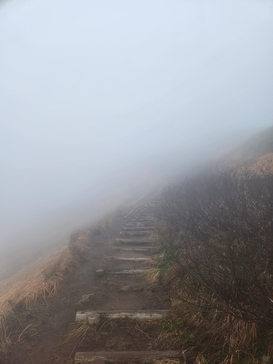 東栗駒山・栗駒山(須川岳) / k.saitoさんの栗駒山（須川岳）・秣岳・虚空蔵山の活動データ | YAMAP / ヤマップ