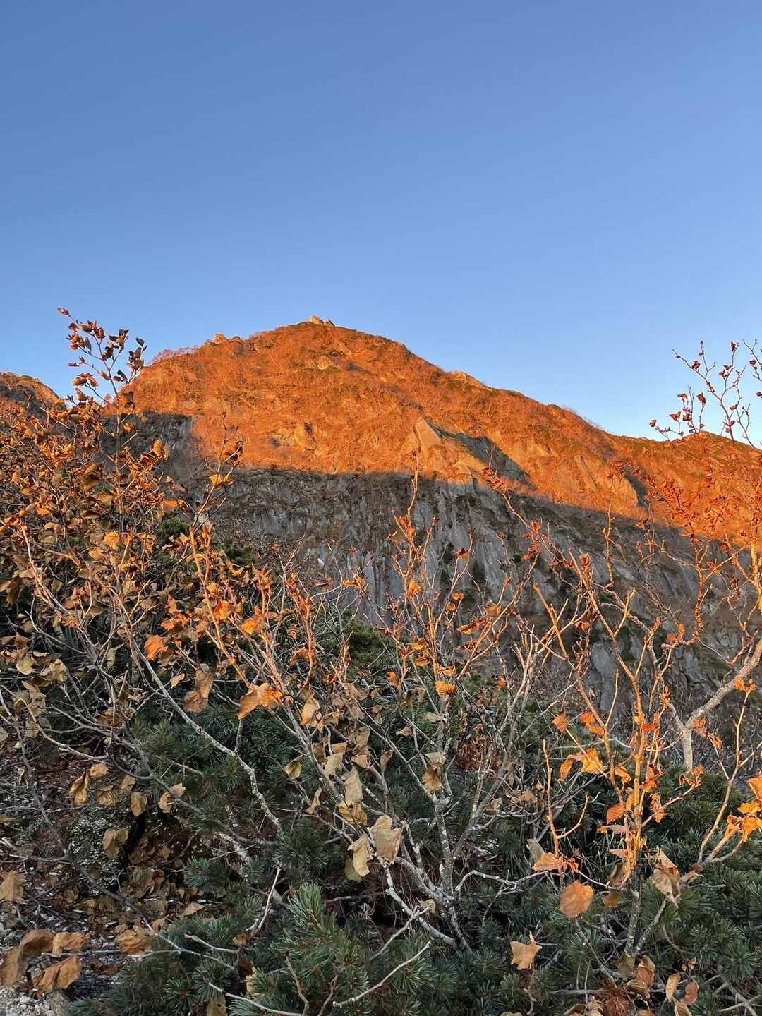 最高の甲斐駒ヶ岳日和！ / izumiさんの甲斐駒ヶ岳・日向山の活動データ | YAMAP / ヤマップ