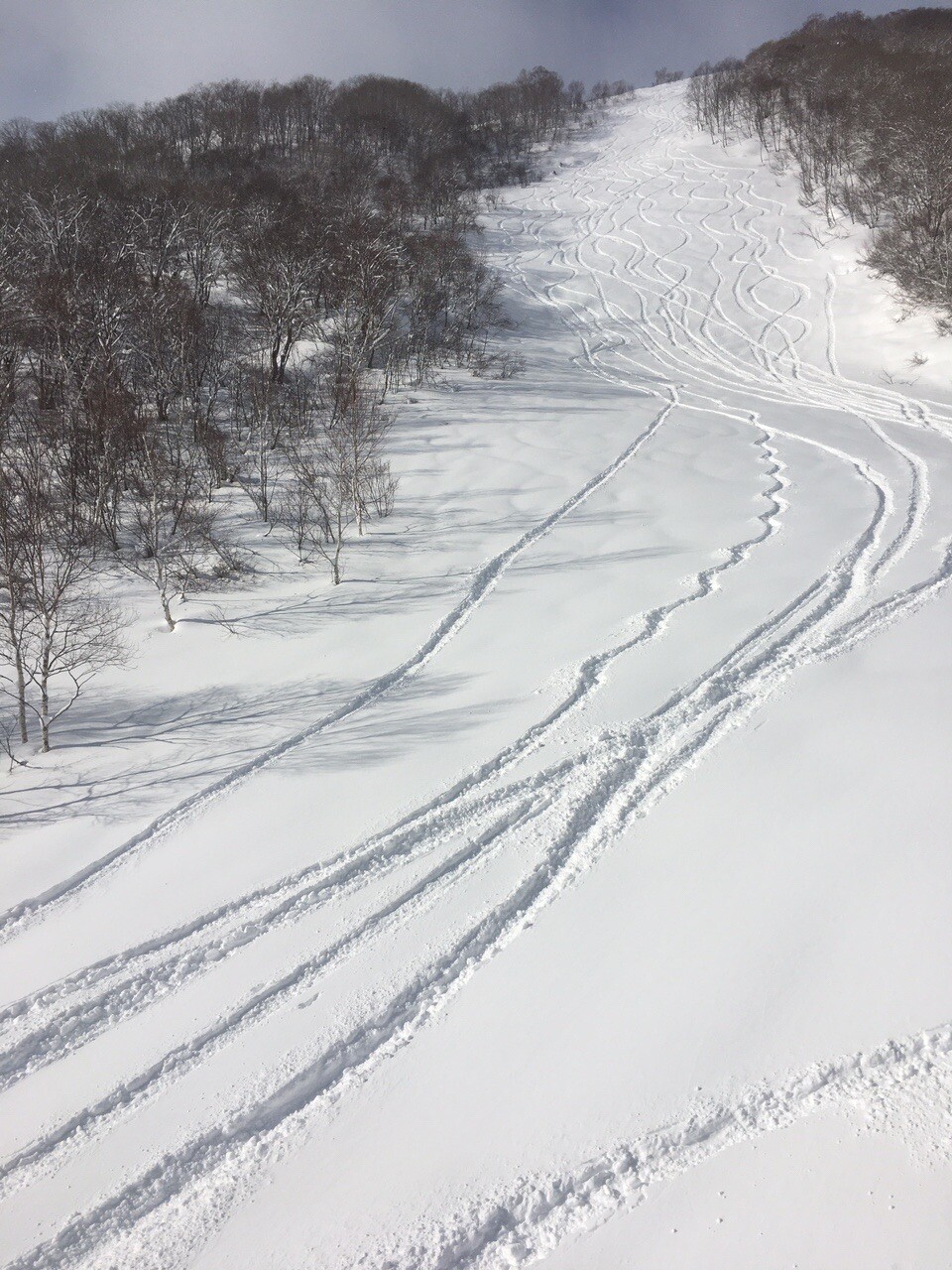 岩蕈山 / Richさんの白馬コルチナスキー場の活動データ | YAMAP / ヤマップ