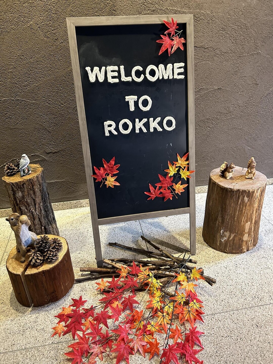 九州の山友さんをご案内@有馬〜六甲山最高峰 / クー0504さんの六甲山・長峰山・摩耶山の活動データ | YAMAP / ヤマップ