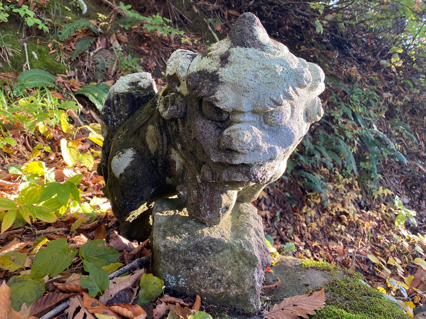 晩秋の米山で “美味しいものゲット” / mtakoさんの守門岳・大岳・網張山の活動データ | YAMAP / ヤマップ