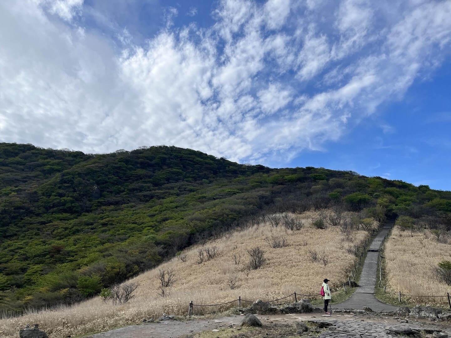 沓掛山・久住山・中岳 / momacさんの九重山（久住山）・大船山・星生山の活動データ | YAMAP / ヤマップ