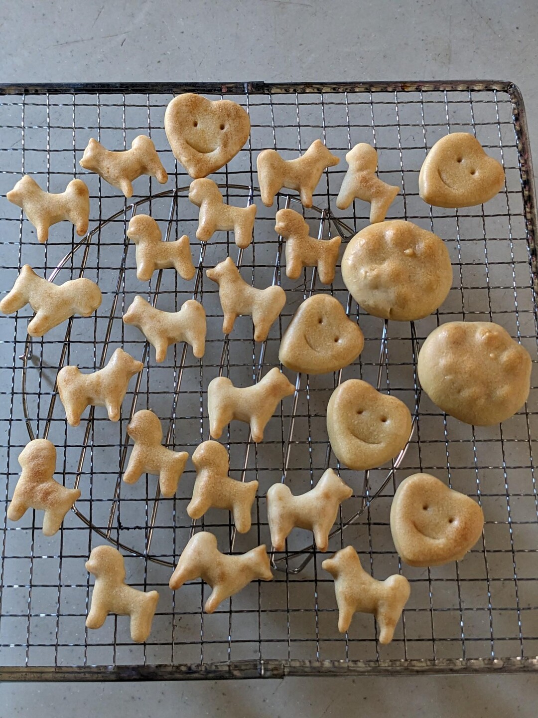 前回の投稿に たくさんのDOMO・コメン... / アン＋シンさんのモーメント | YAMAP / ヤマップ