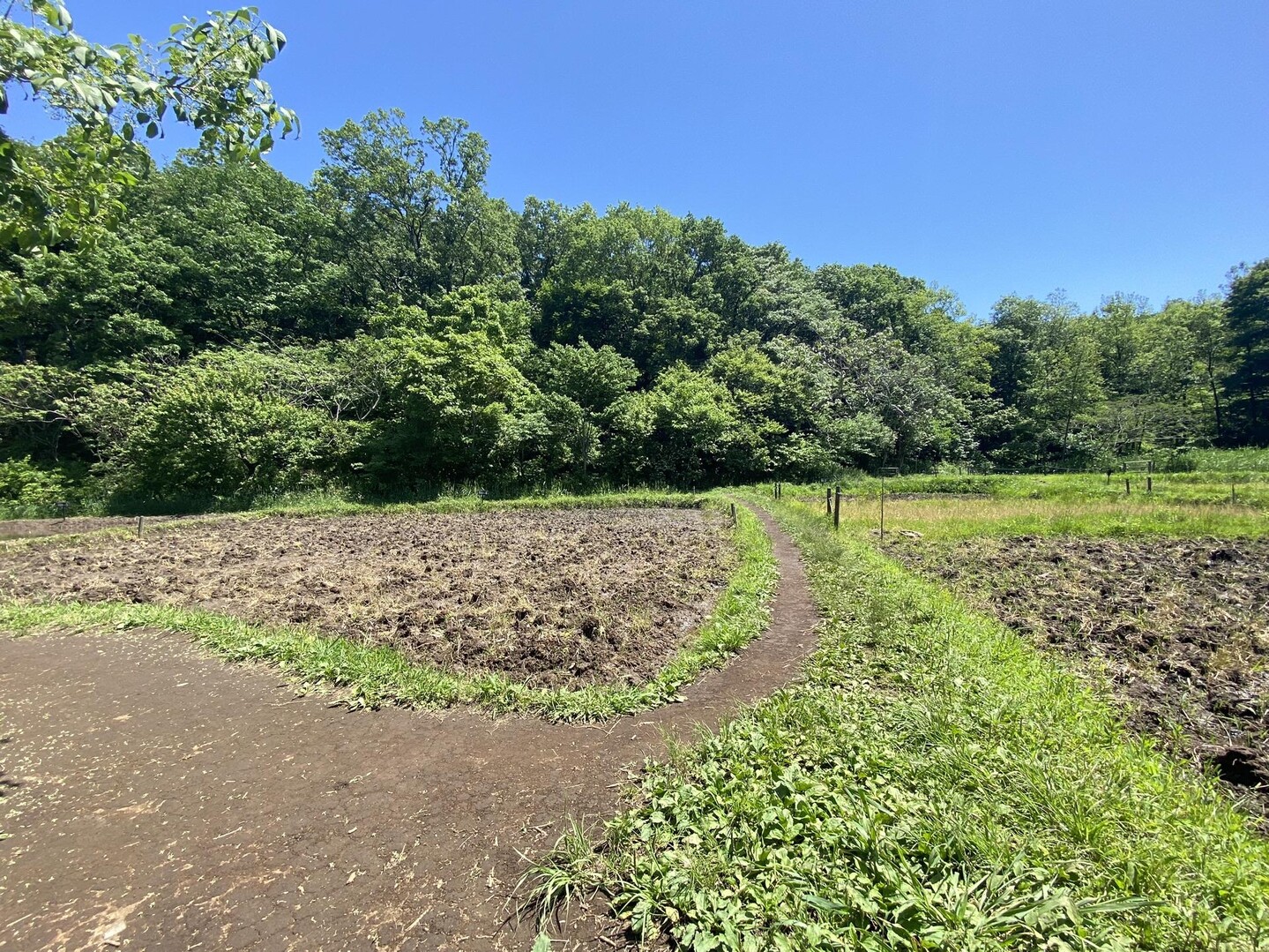 日本の原風景 横浜・舞岡公園 / Sam55さんのウォーキングの活動データ | YAMAP / ヤマップ