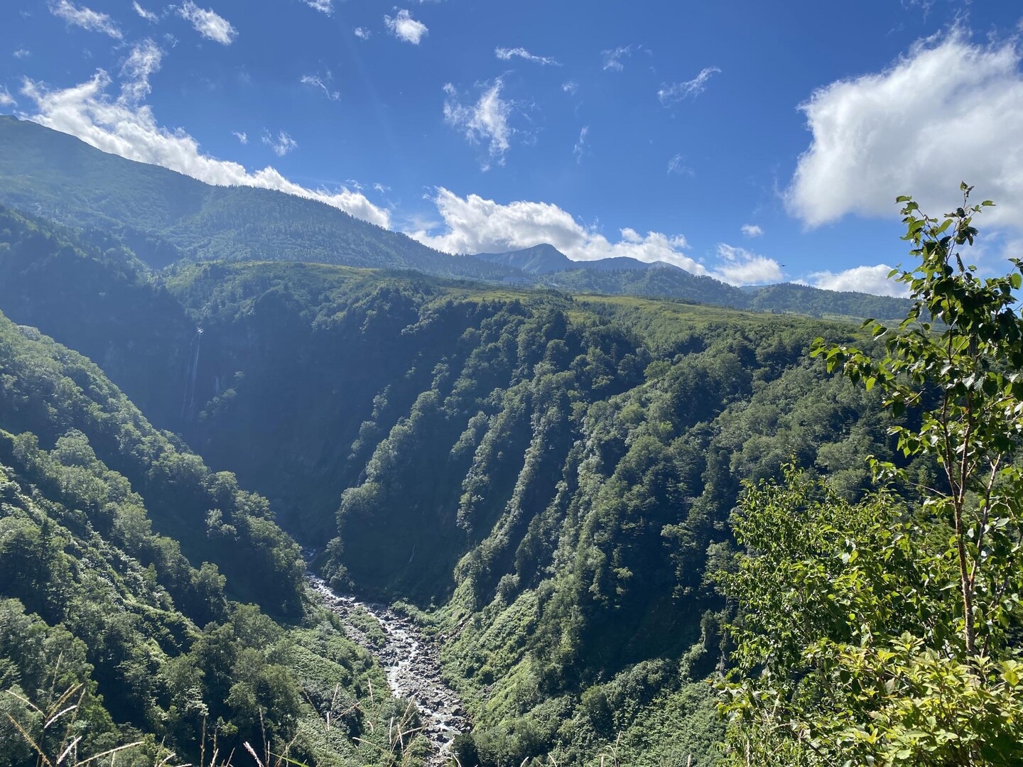 いい道でした大日岳。帰路はずぶ濡れ鼠☔️🐀 / mtakoさんの剱岳の活動データ | YAMAP / ヤマップ