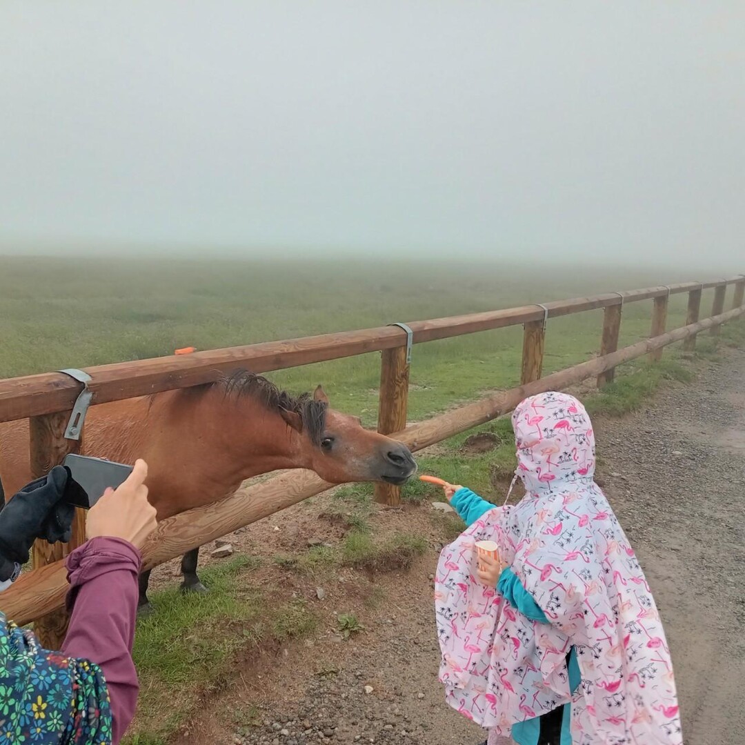 美ヶ原（王ヶ頭）（1日目） / asuさんの美ヶ原の活動日記 | YAMAP / ヤマップ