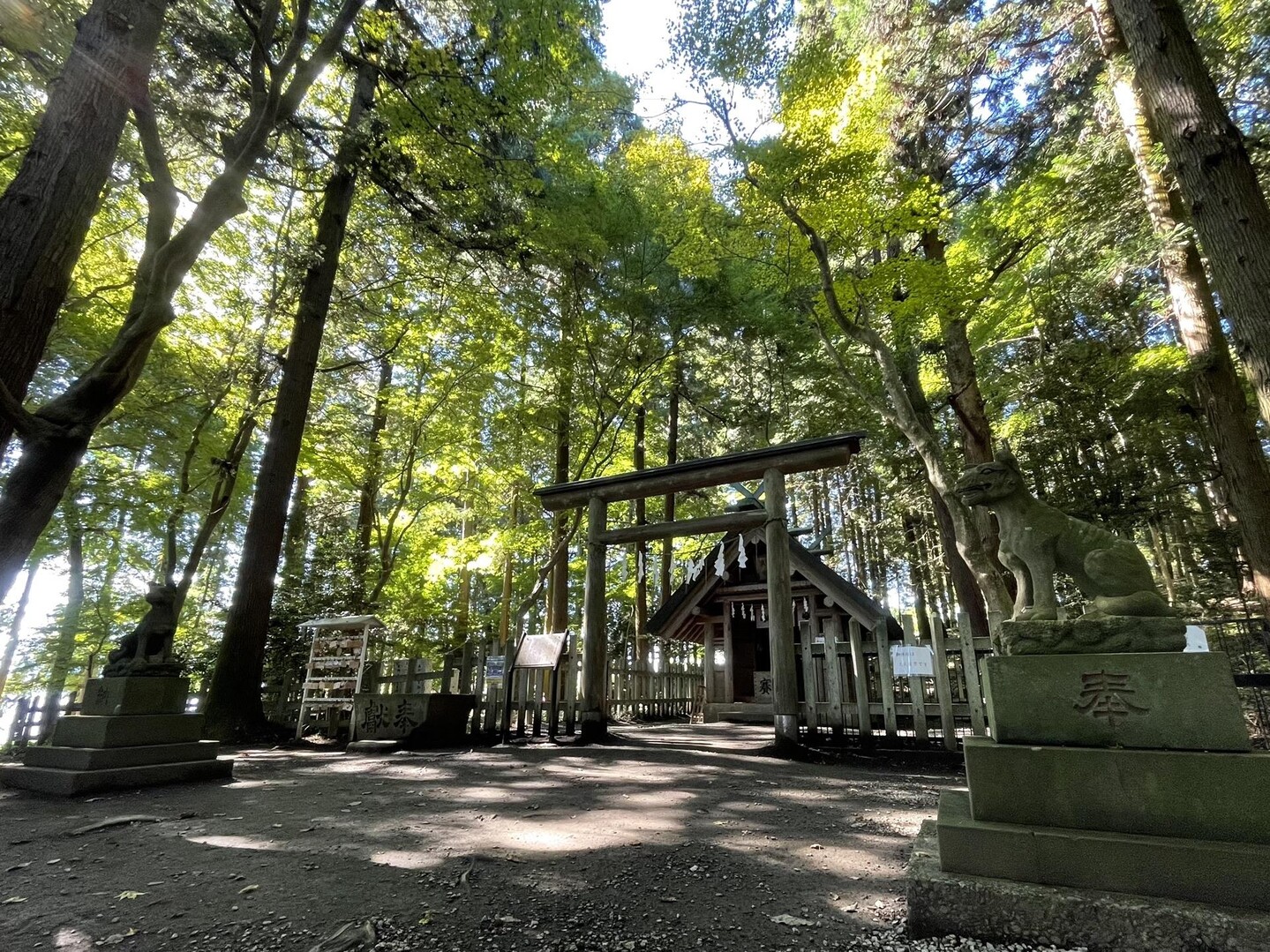 宝登山 de 長瀞アルプス。 / aoさんの宝登山・長瀞アルプス・不動山・陣見山・鐘撞堂山の活動日記 | YAMAP / ヤマップ
