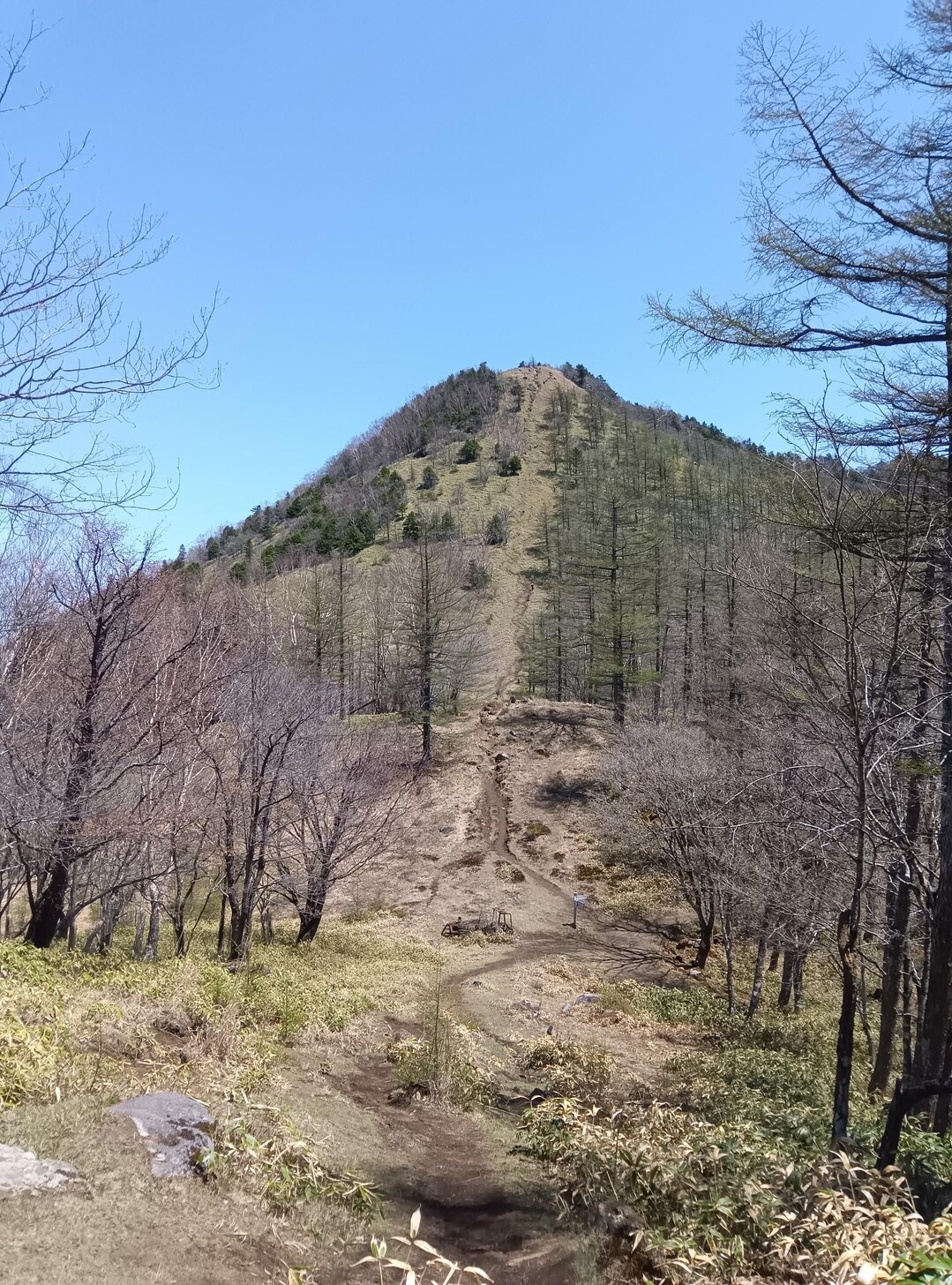 笠取山 / nori 04さんの和名倉山・笠取山・東仙波の活動データ | YAMAP / ヤマップ