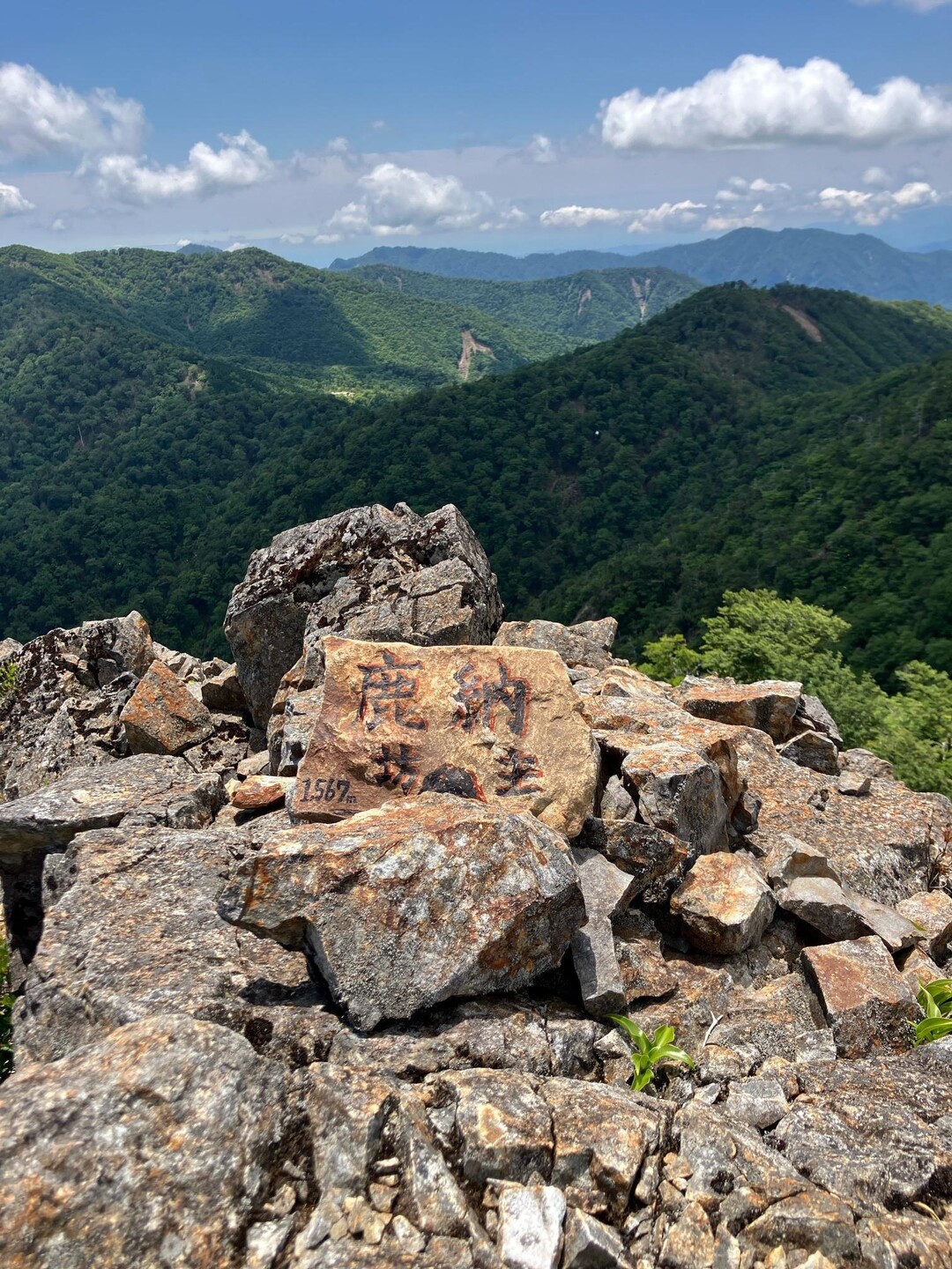 鹿納山 / ORIBAさんの大崩山・五葉岳・新百姓山の活動日記 | YAMAP / ヤマップ