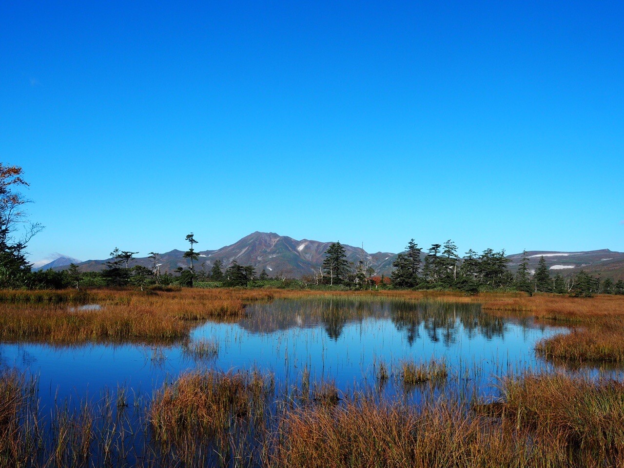 沼ノ原から忠別岳へ⛰⛰ / rucolaさんの大雪山系・旭岳・トムラウシの活動日記 | YAMAP / ヤマップ