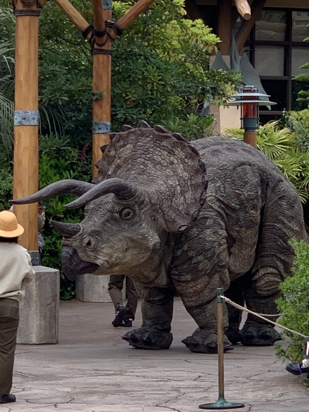 8年ぶりにUSJに行って来ました ️ ア... / ナオさんさんのモーメント | YAMAP / ヤマップ