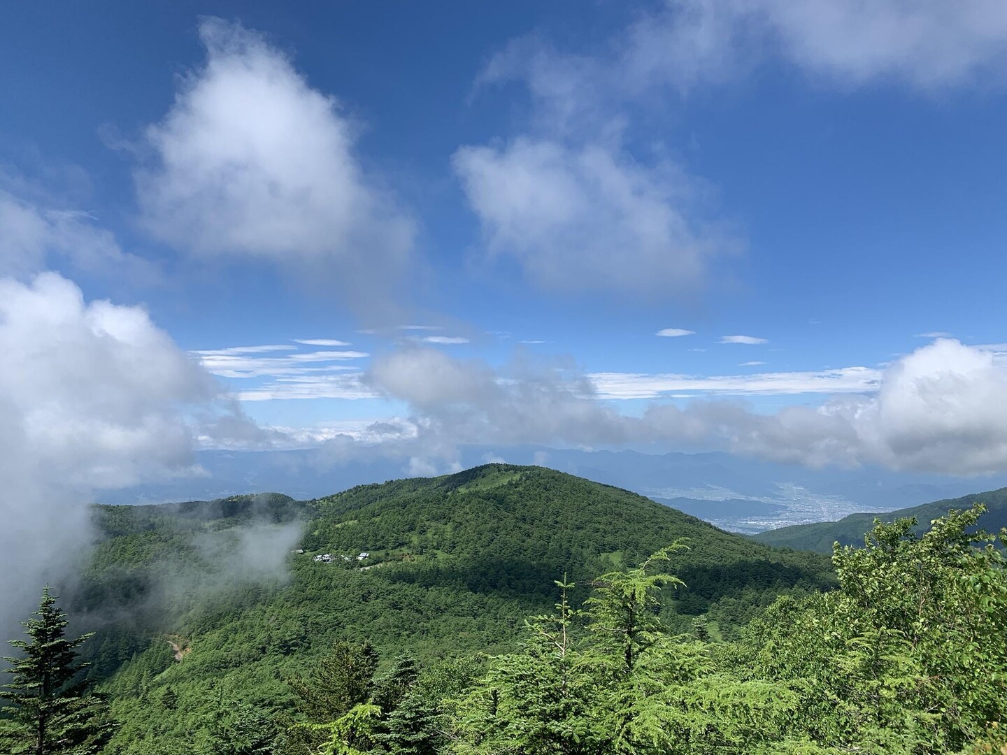 篭ノ登山(東篭ノ登山)・見晴岳・三方ヶ峰 / sayo☺︎︎︎︎さんの湯ノ丸山・角間山・鍋蓋山の活動日記 | YAMAP / ヤマップ