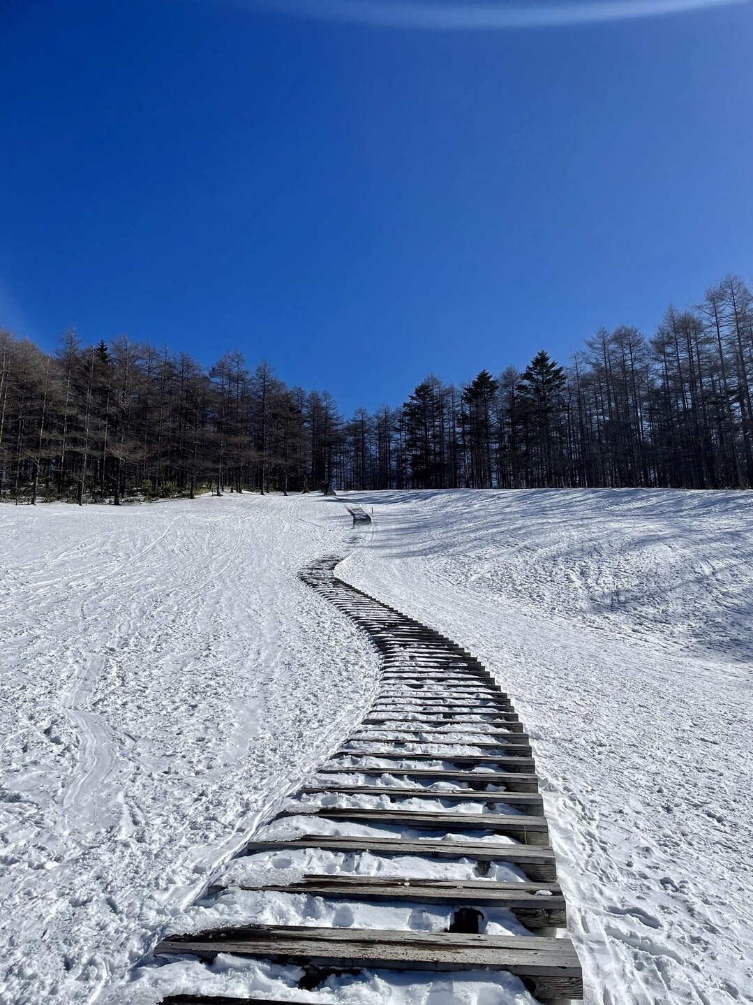 アカノラ山・入笠山 / hamiさんの入笠山の活動日記 | YAMAP / ヤマップ