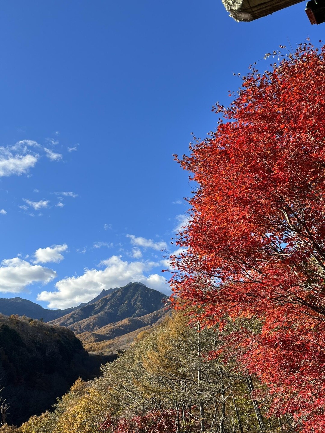 紅葉真っ盛り🍁 八ヶ岳の南側ふもとから... / ともPさんのモーメント | YAMAP / ヤマップ