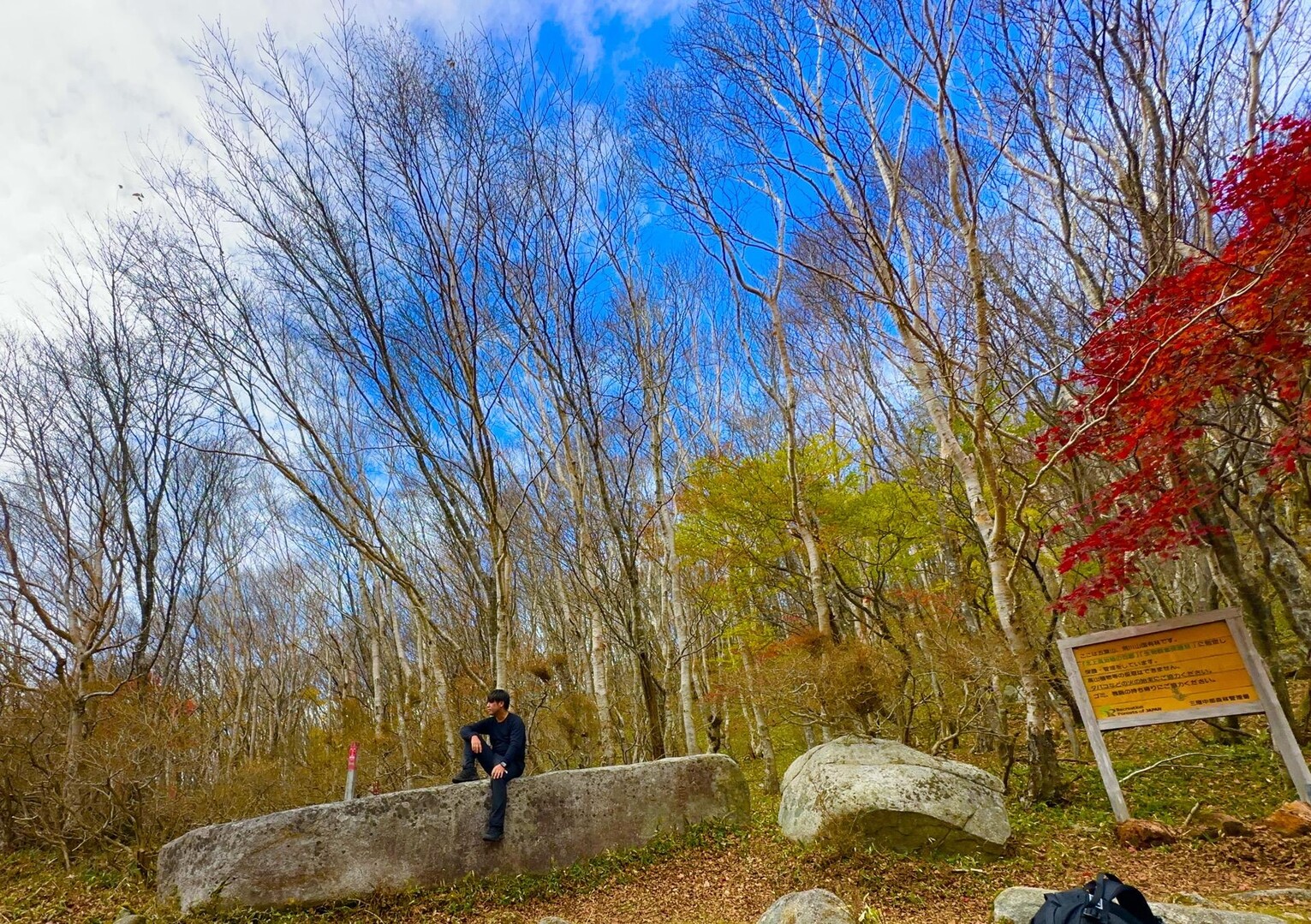 2024Last登山 五葉山 / kiyoshiさんの五葉山・愛染山の活動データ | YAMAP / ヤマップ