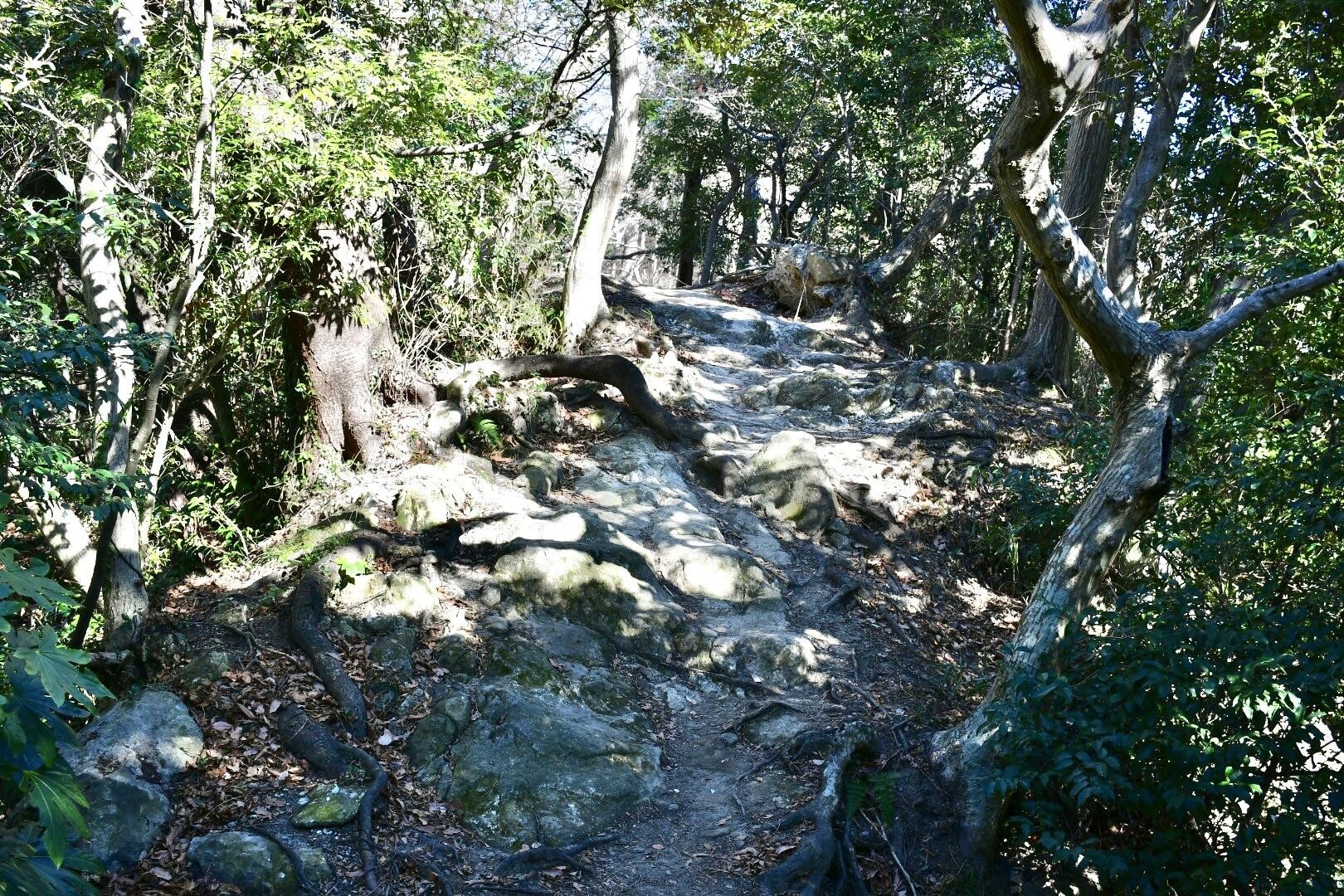 mooさんの投稿したフィールドメモ | YAMAP / ヤマップ