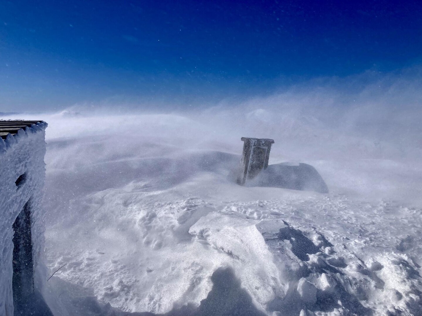 爆風ゲナンポ🌪️ / puyoさんの銀杏峰・部子山の活動データ | YAMAP / ヤマップ