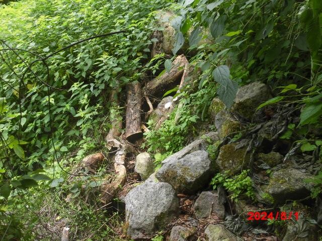 takibiさんの投稿したフィールドメモ | YAMAP / ヤマップ