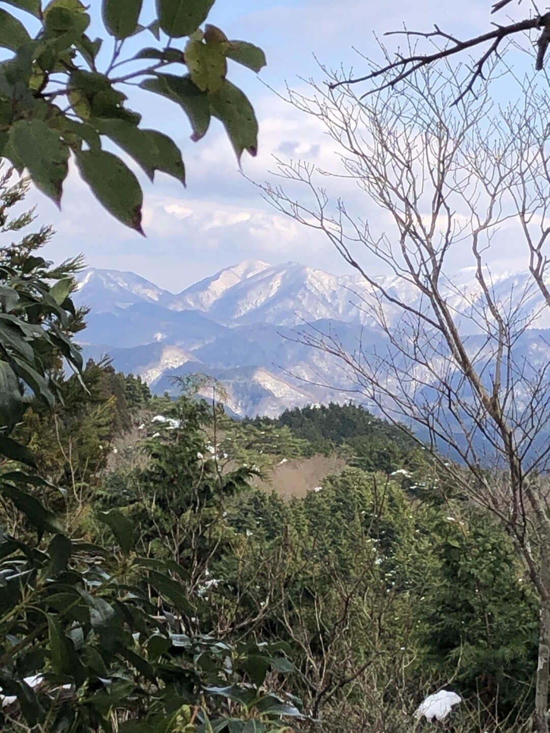 【鈴鹿】【42/50座】釈迦岳・押立山 / aspiさんの押立山の活動データ | YAMAP / ヤマップ