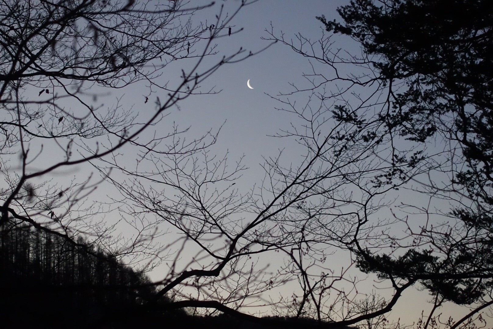 morning moon（国内御殿って何？） / とうちゃん99さんの大菩薩嶺・鶏冠山・大マテイ山の活動データ | YAMAP / ヤマップ