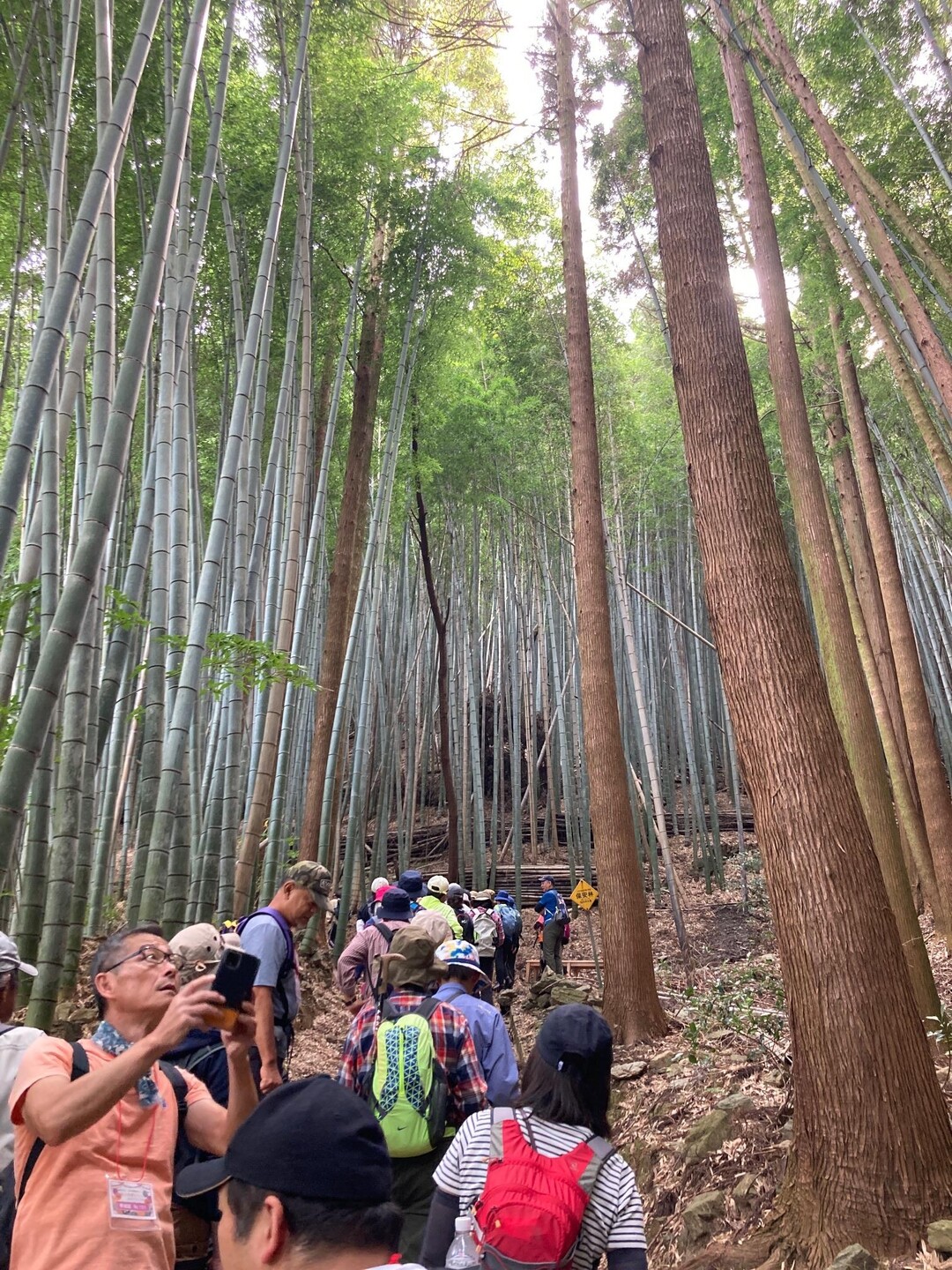 女山 / nobu-bさんの九州オルレ・みやま・清水山コースの活動データ | YAMAP / ヤマップ