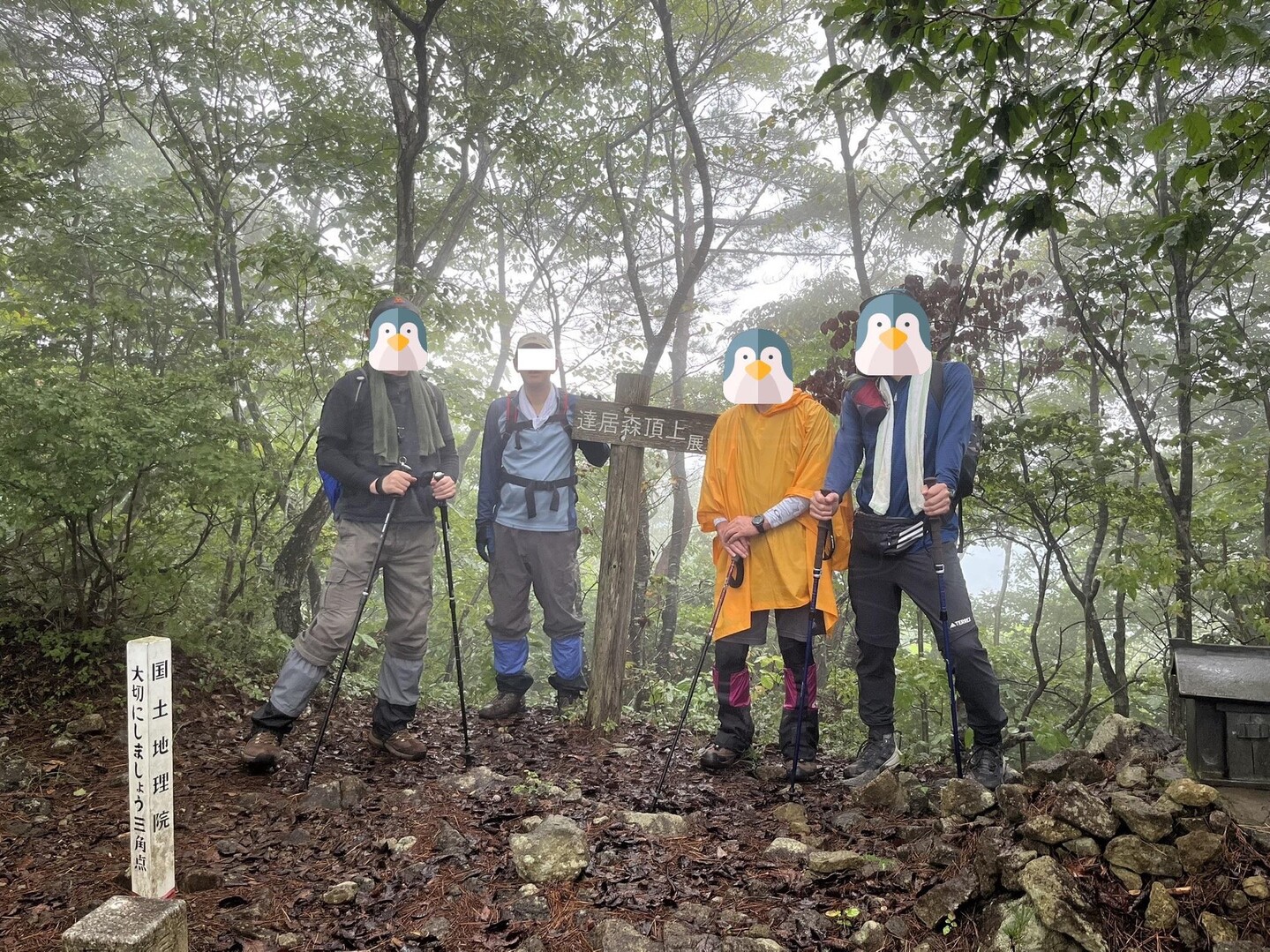 達居森 / hachiさんの達居森の活動データ | YAMAP / ヤマップ