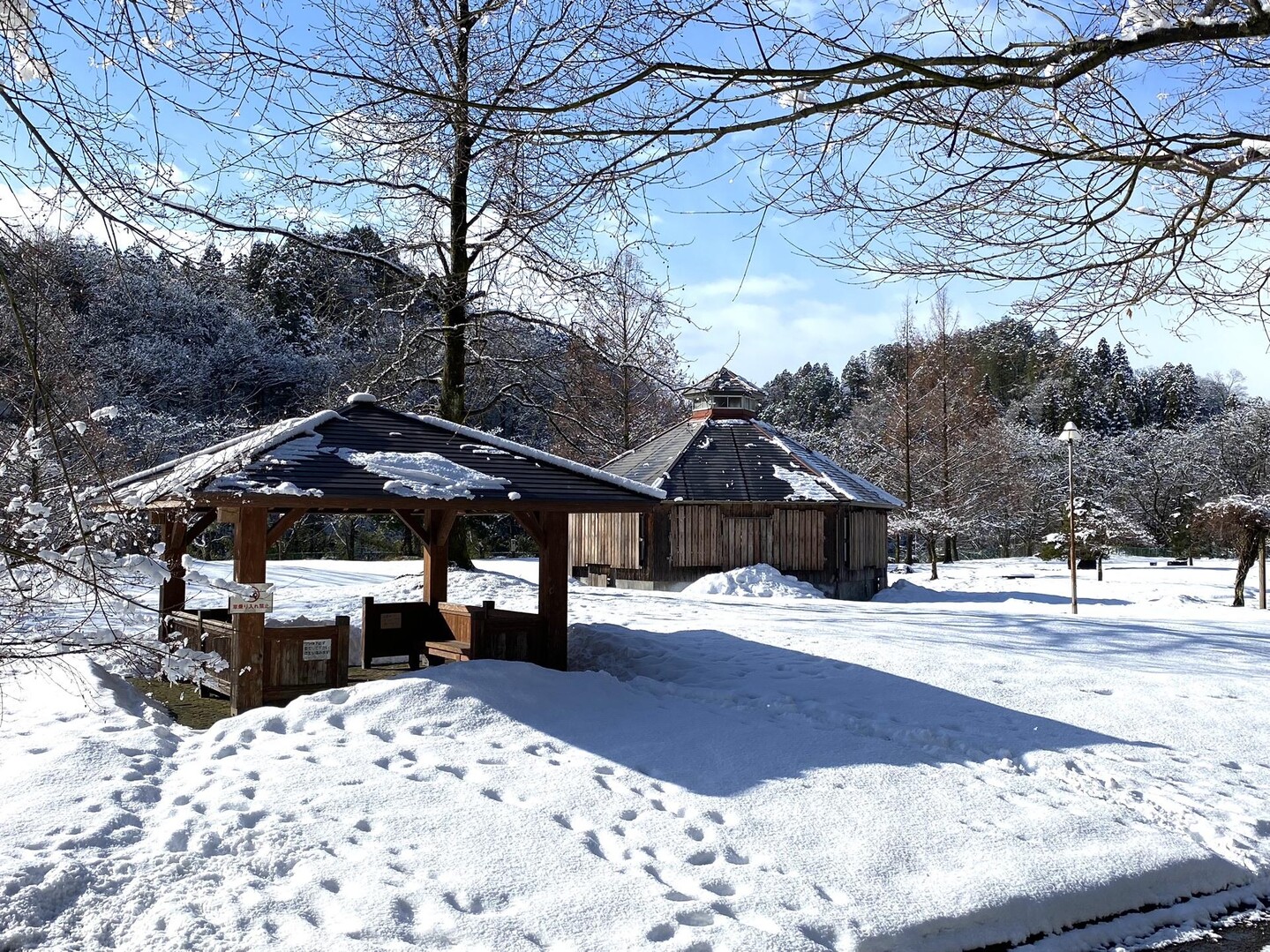 安居山(富山) 安居緑地広場(キャンプ場) 安居寺公園 / taakoさんの南砺市の活動データ | YAMAP / ヤマップ