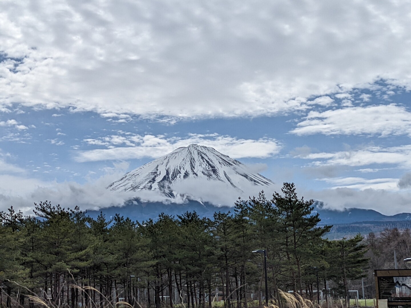 3/27-28と朝霧ジャンボリーオートキ... / maaさんのモーメント | YAMAP / ヤマップ