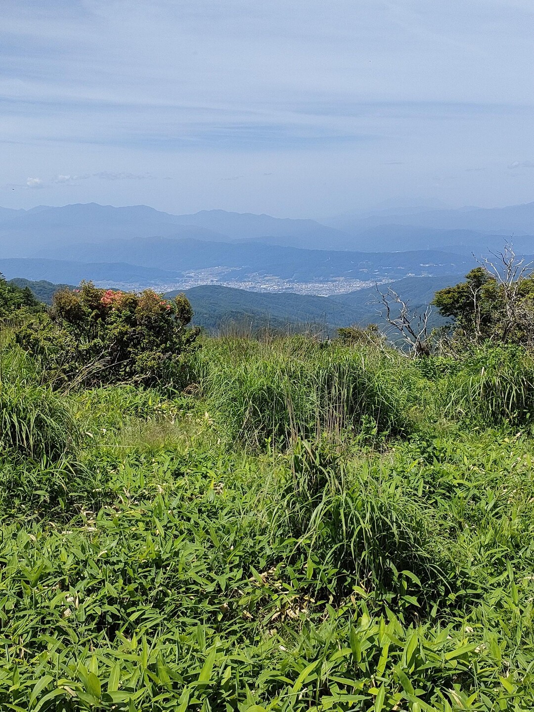 鷲ヶ峰 霧ケ峰の北 / きりHPさんの霧ヶ峰・車山・大笹峰の活動データ | YAMAP / ヤマップ
