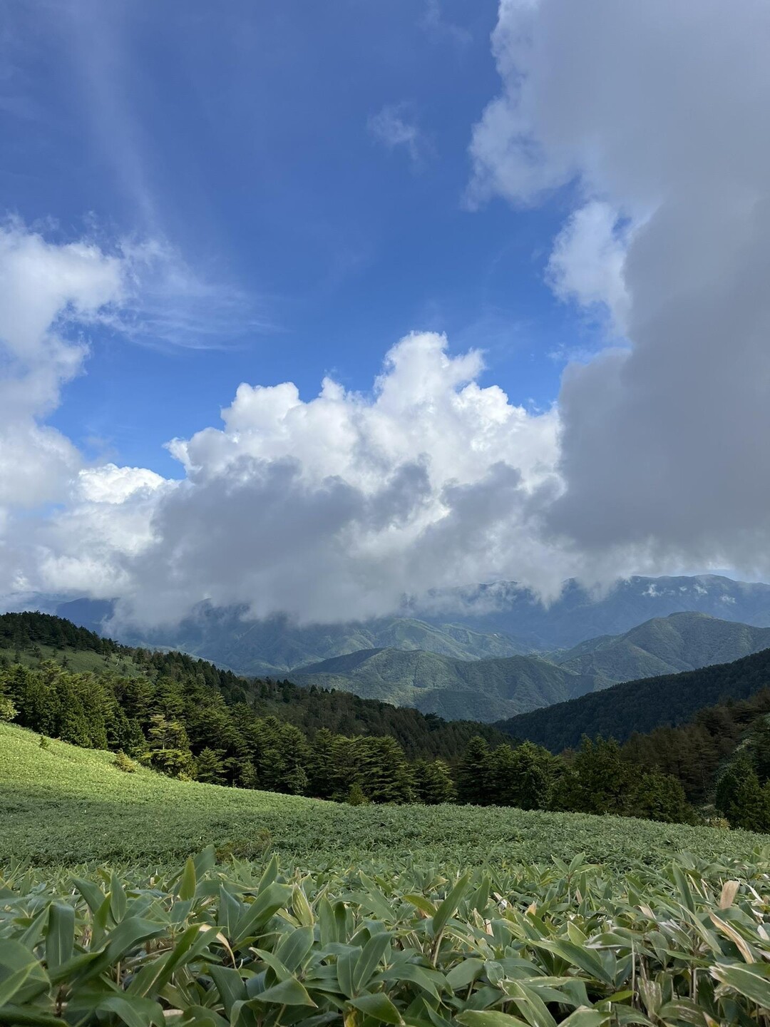 阿智セブンサミット・富士見台高原 / Miho （southern breeze）さんのウォーキングの活動データ | YAMAP / ヤマップ